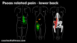 The Most Effective Psoas Release Technique for Pain Relief - Coach ...