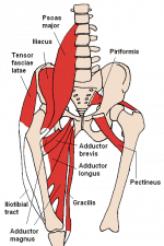 The Most Effective Psoas Release Technique for Pain Relief - Coach ...