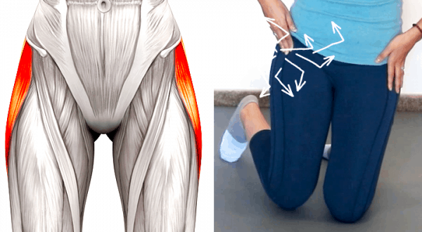 13 Essential Tensor Fascia Latae (TFL) Stretches (PDF Download) - Coach ...