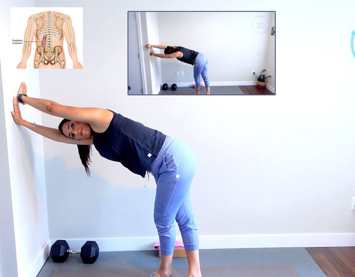 Ql Muscle Stretching Exercises