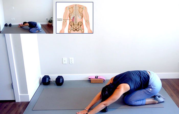 Quick Lower Back Pain Relief: Best Exercises & Stretches - Coach Sofia ...