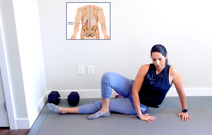 Ql Muscle Stretching Exercises