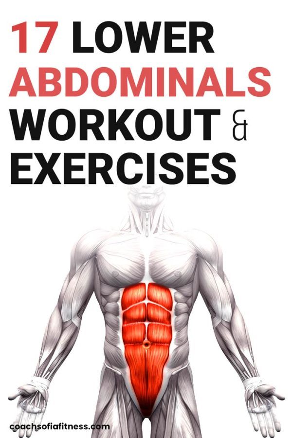 17 Lower Abs Exercises to Target Your Lower Abdominals - Coach Sofia ...
