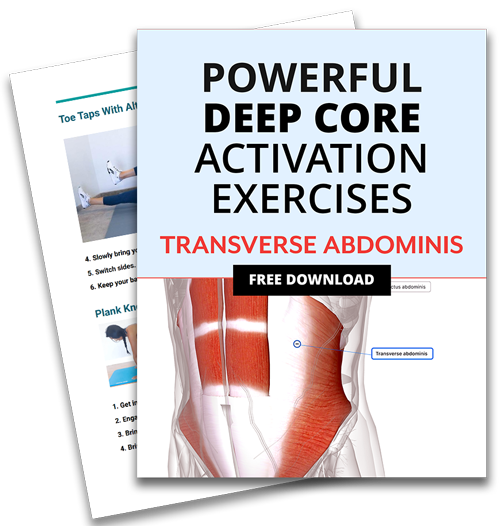 Transverse abdominis PDF - Coach Sofia Fitness