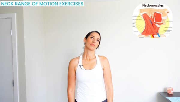 9 Effective Trapezius Release Stretches for Upper Back Pain - Coach ...