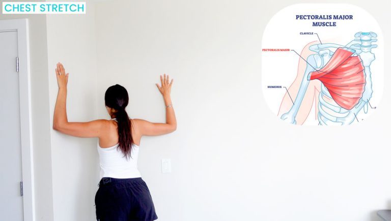 9 Effective Trapezius Release Stretches for Upper Back Pain - Coach ...