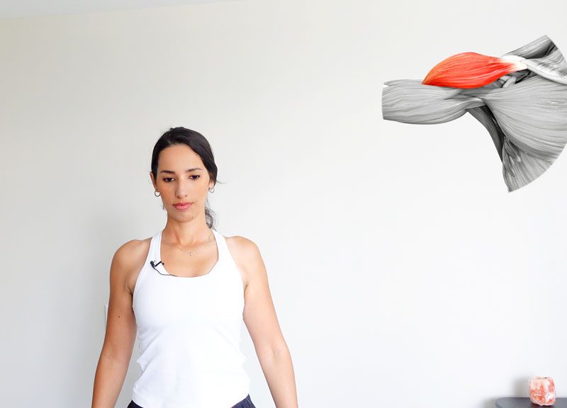 9 Effective Trapezius Release Stretches for Upper Back Pain - Coach ...