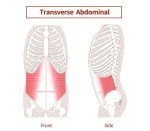 10-Minute Core Workout to Strengthen Your Transverse Abdominis For ...