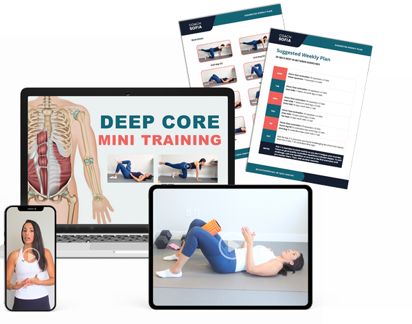 The Essential Core Strength Program - Coach Sofia Fitness