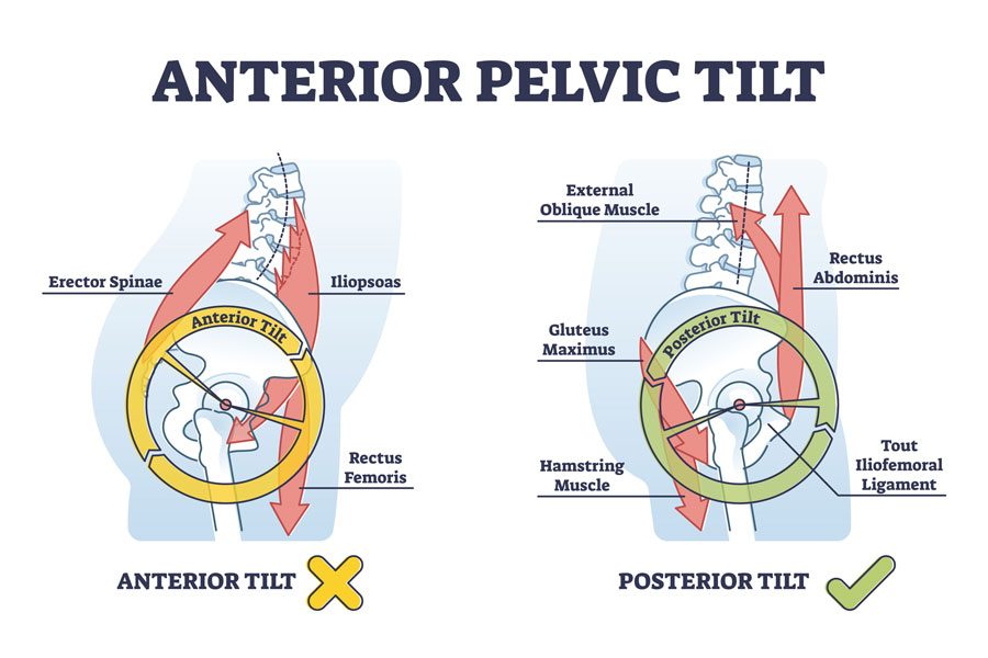 6 Hip Flexors Stretches To Reverse The Damage Of Sitting - Coach Sofia ...