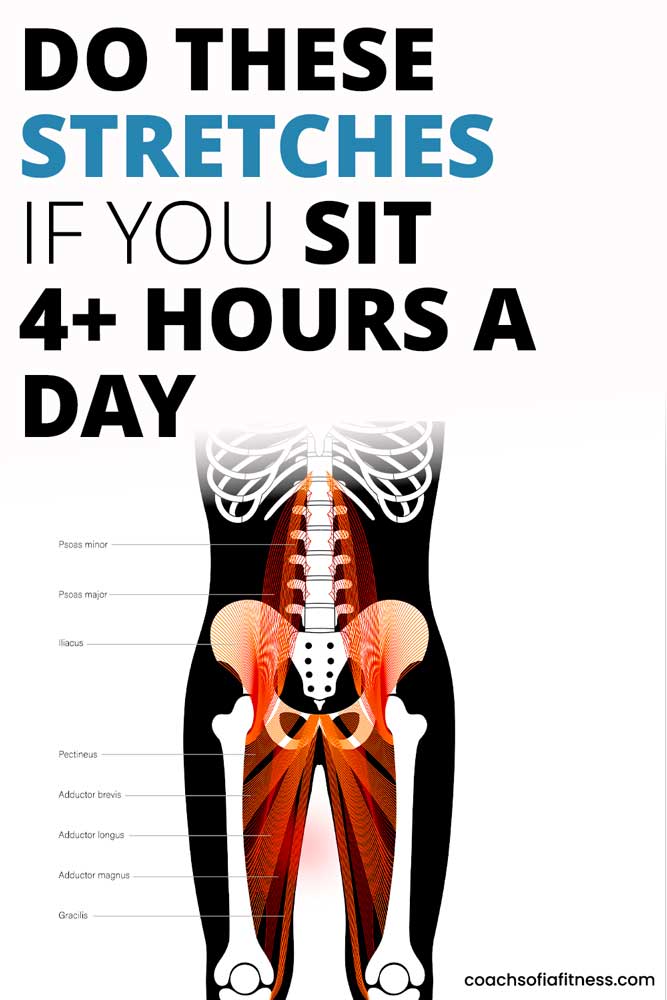 6 Hip Flexors Stretches To Reverse The Effects Of Sitting - Coach Sofia ...