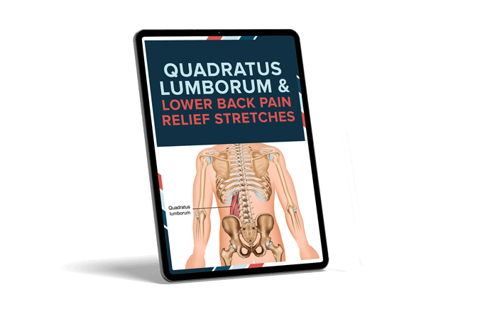 Free Resource Library - Coach Sofia Fitness