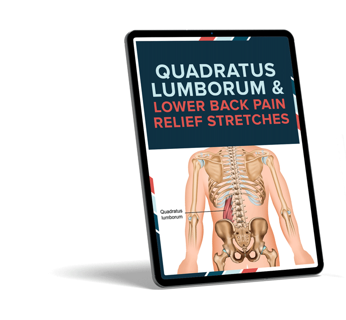 QL & Lower Back Stretches - Coach Sofia Fitness