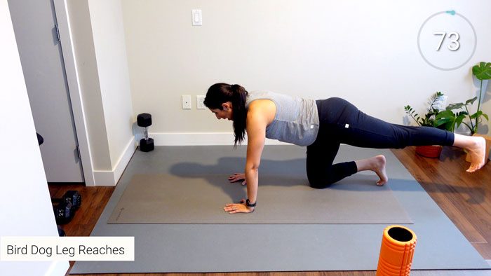 Deep Core & Pelvic Floor Strengthening Routine You Can Do Every Day - Coach Sofia Fitness