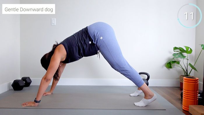 Pregnancy Stretches For Lower Back Pain - Coach Sofia Fitness