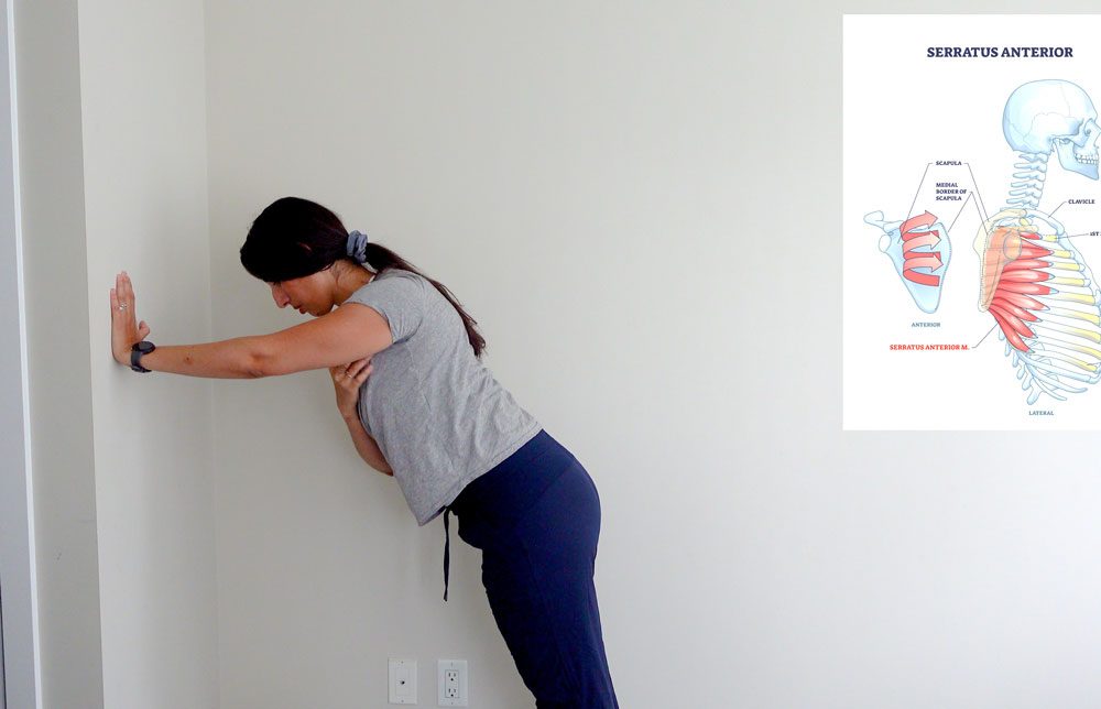 How to Fix Pain Between the Shoulder Blades (Fast Relief Exercises ...