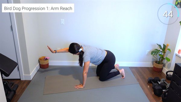 Easy Deep Core Exercises for Back Pain & Sciatica Relief - Coach Sofia ...